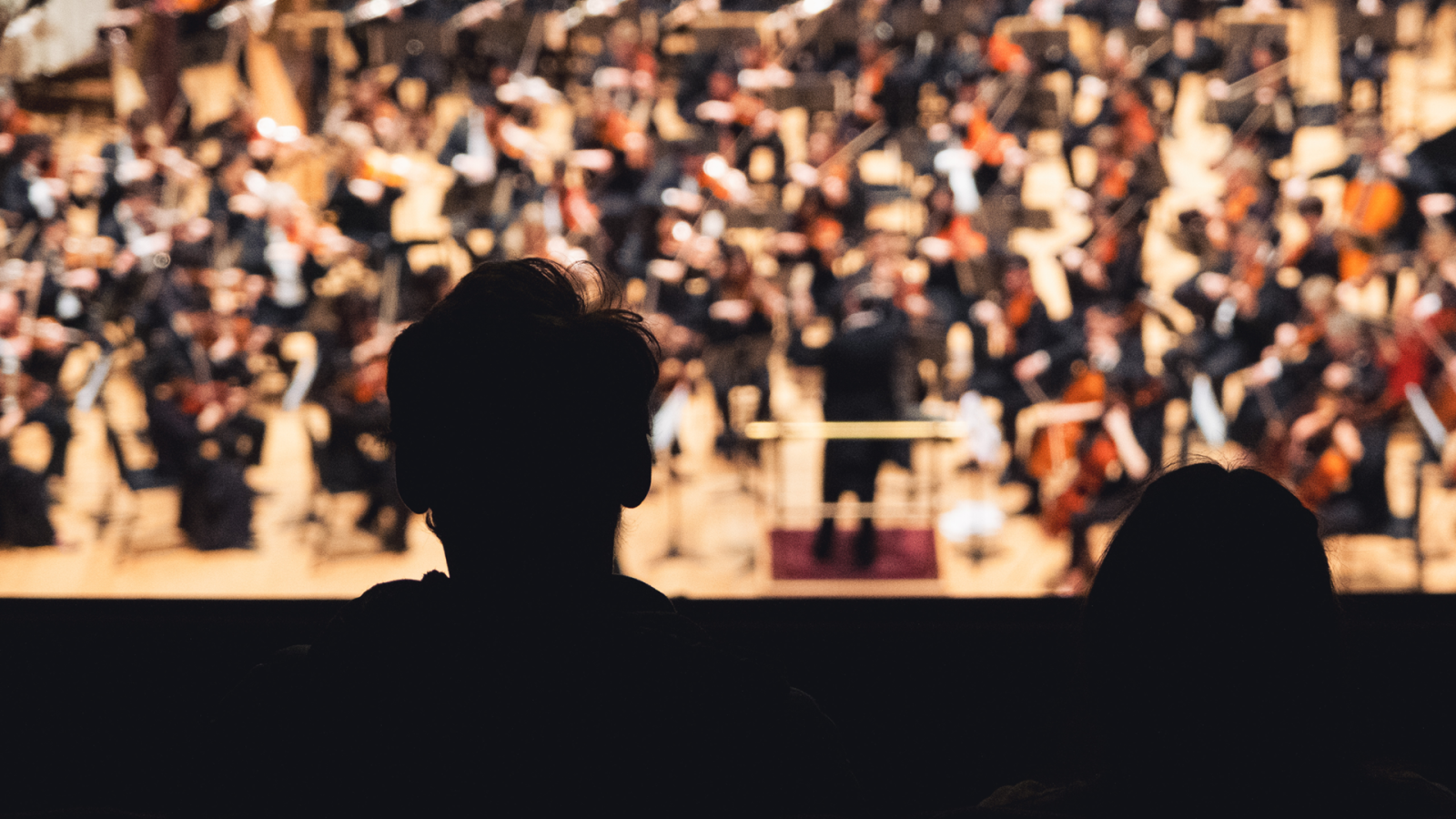 Support Us - Rochester Philharmonic Orchestra